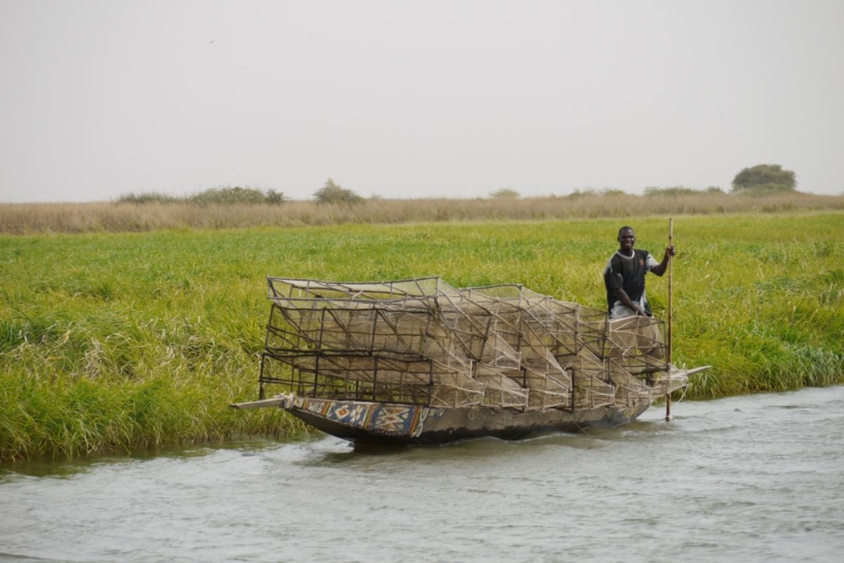 Extreme flooding predicted to hit Mali's Inner Niger Delta | BRACED