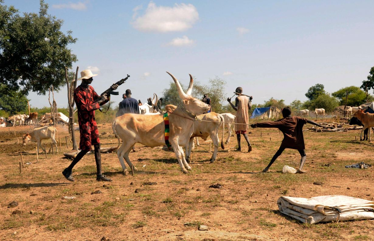 Building resilience in fragile states, conflict settings key challenge ...