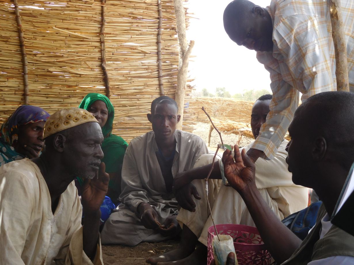 Chad residents in planting drive with tree nurseries | BRACED