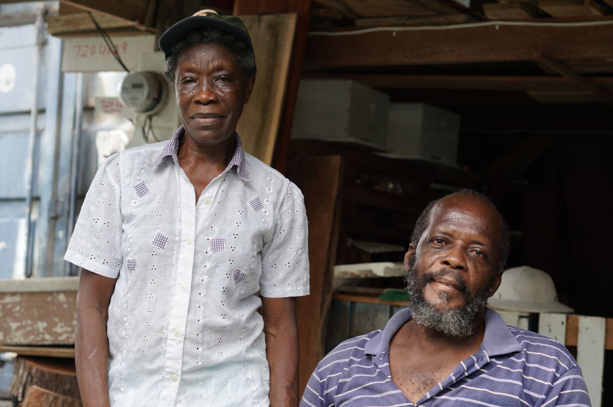 In storm-hit St. Lucia, insurance creates a buzz | BRACED