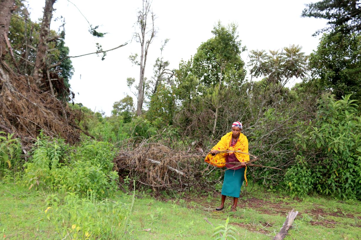 Forest dwellers turn paralegals to keep ancestral land | BRACED