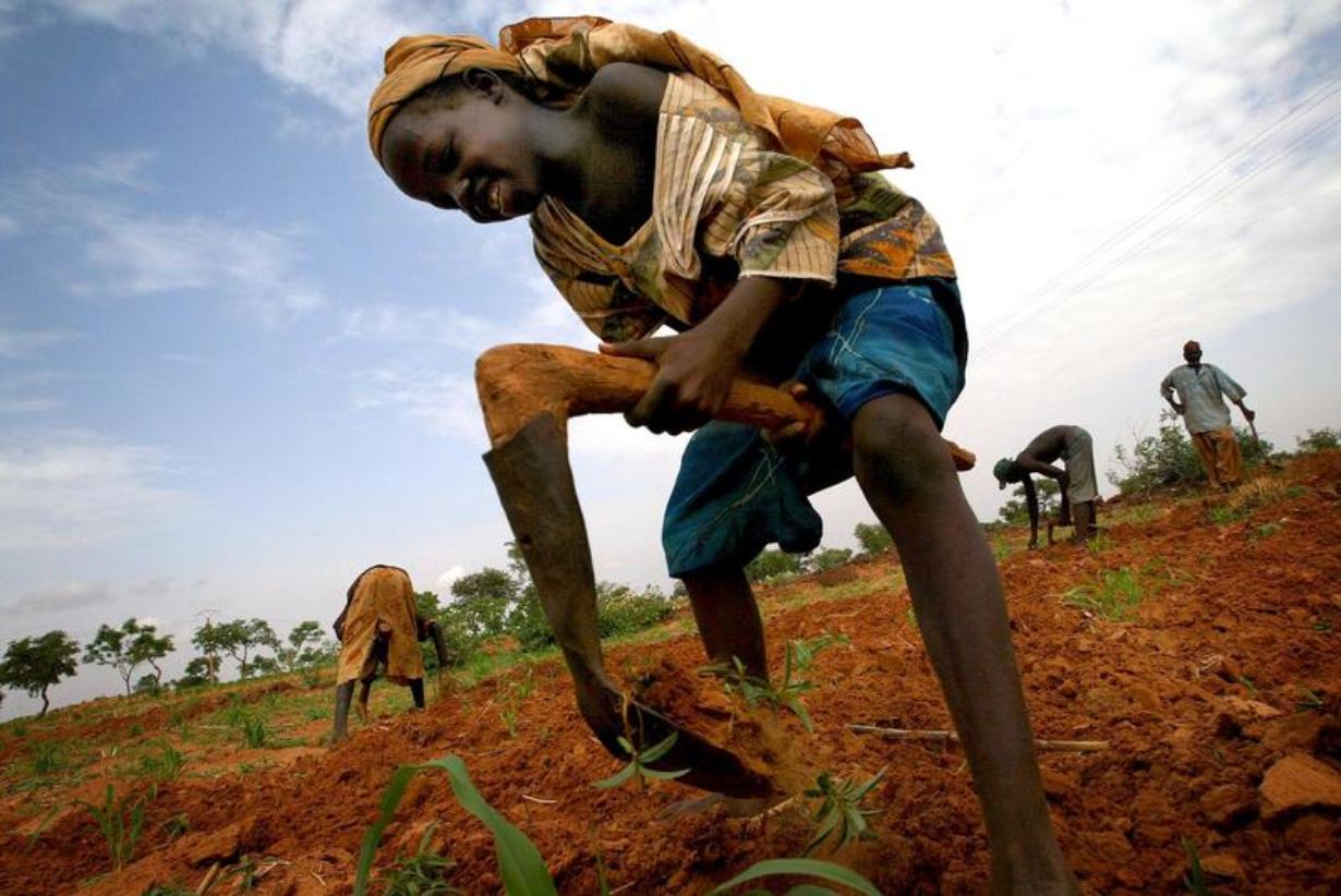 Climate resilient programs in Mali: What we know, how to do it better ...