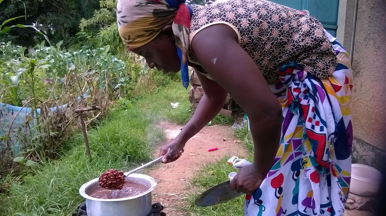 Pre-cooked beans could turn down heat on Africa's dwindling forests ...