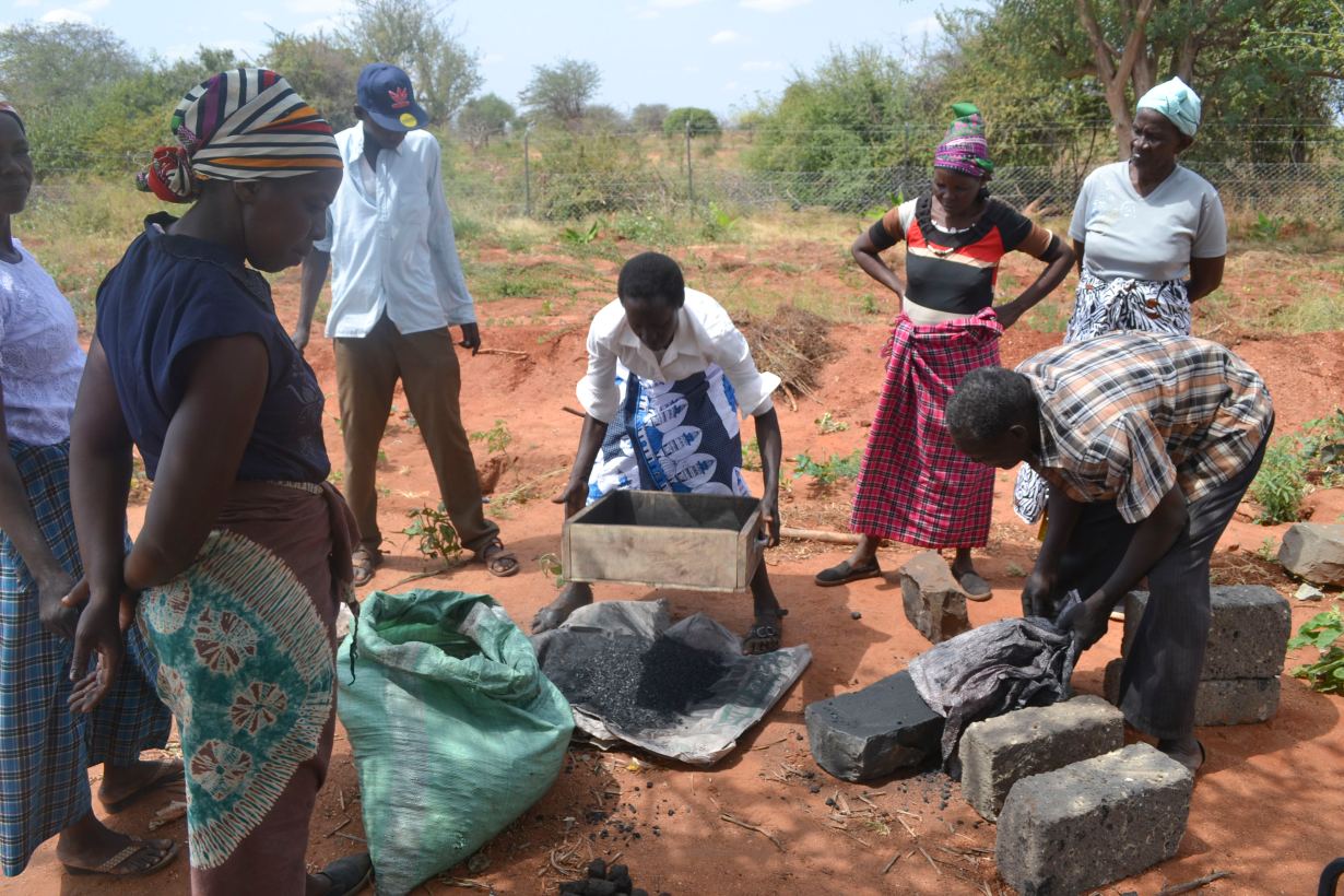 Branching out: greener charcoal takes root in eastern Kenya | BRACED